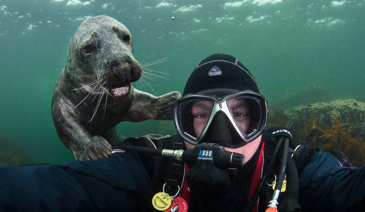 Capturing the magnificent blue, with renowned underwater photographer ...