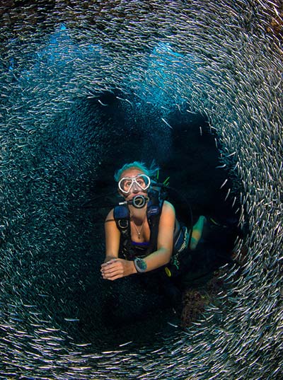 Capturing the magnificent blue, with renowned underwater photographer ...